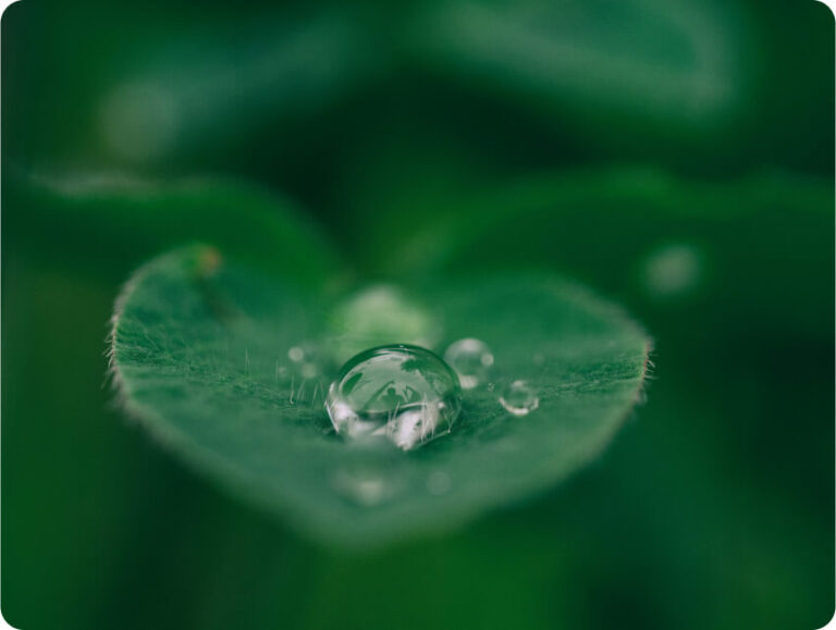 Our Mission - My Green Doctor